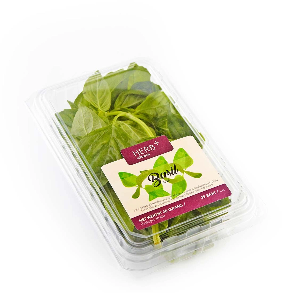 Fresh Plus Basil 30G.