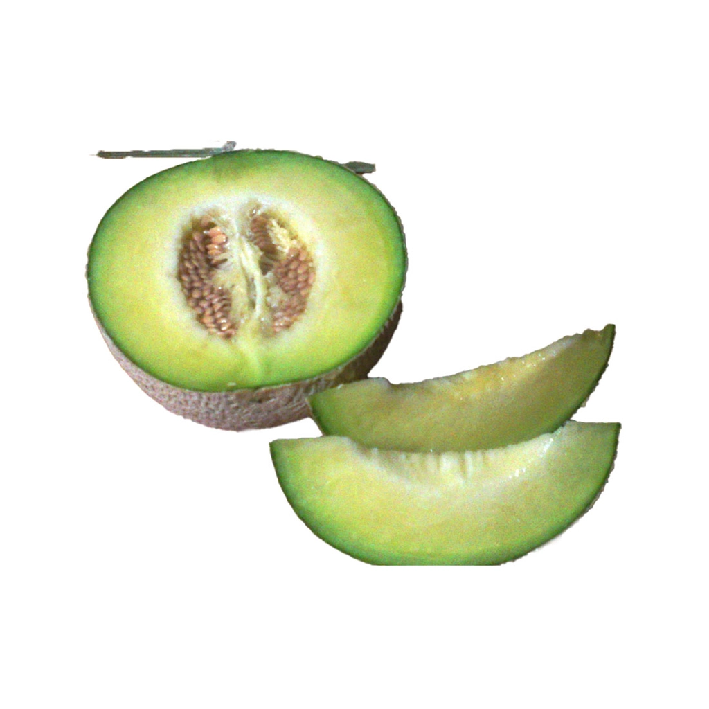 SAITAMA JAPANESE MUSK MELON